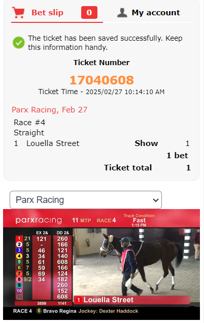 Race Statistics and Live Stream