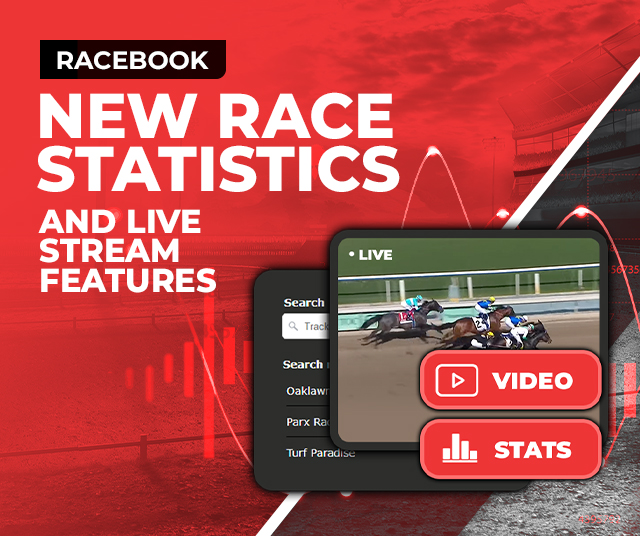 Race Statistics and Live Stream